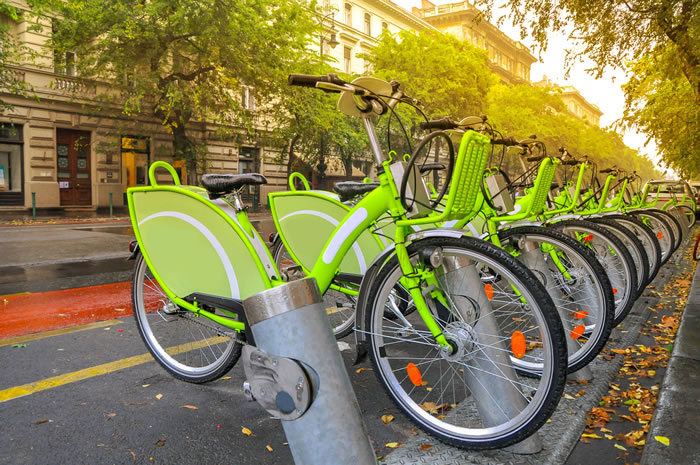 Welcome | Sharon’s Portfolio